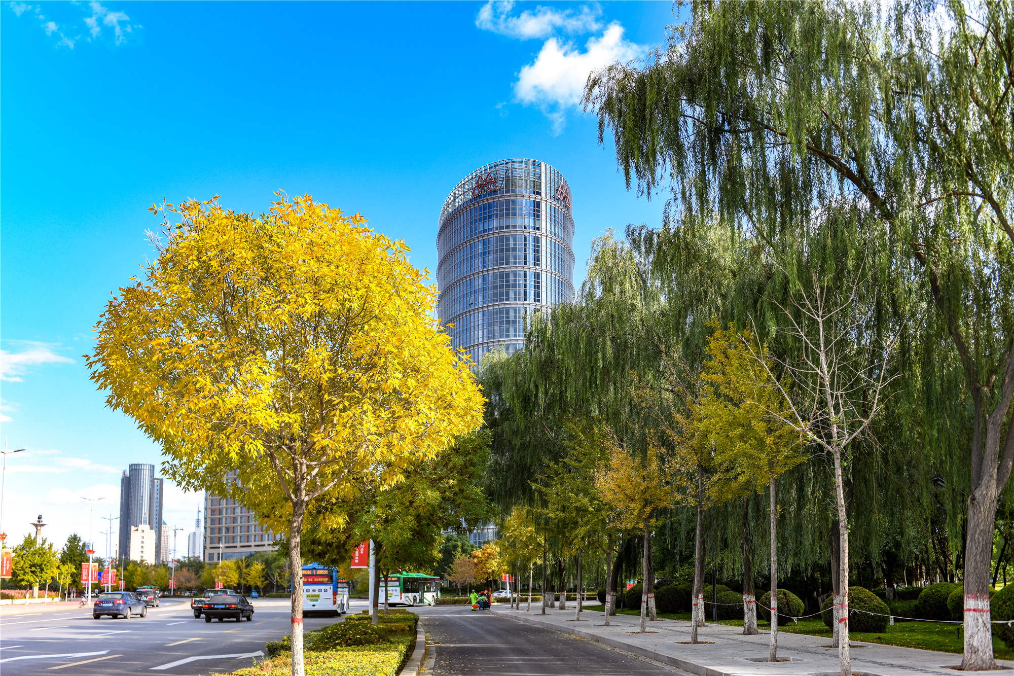 秋正浓-宁夏新闻网